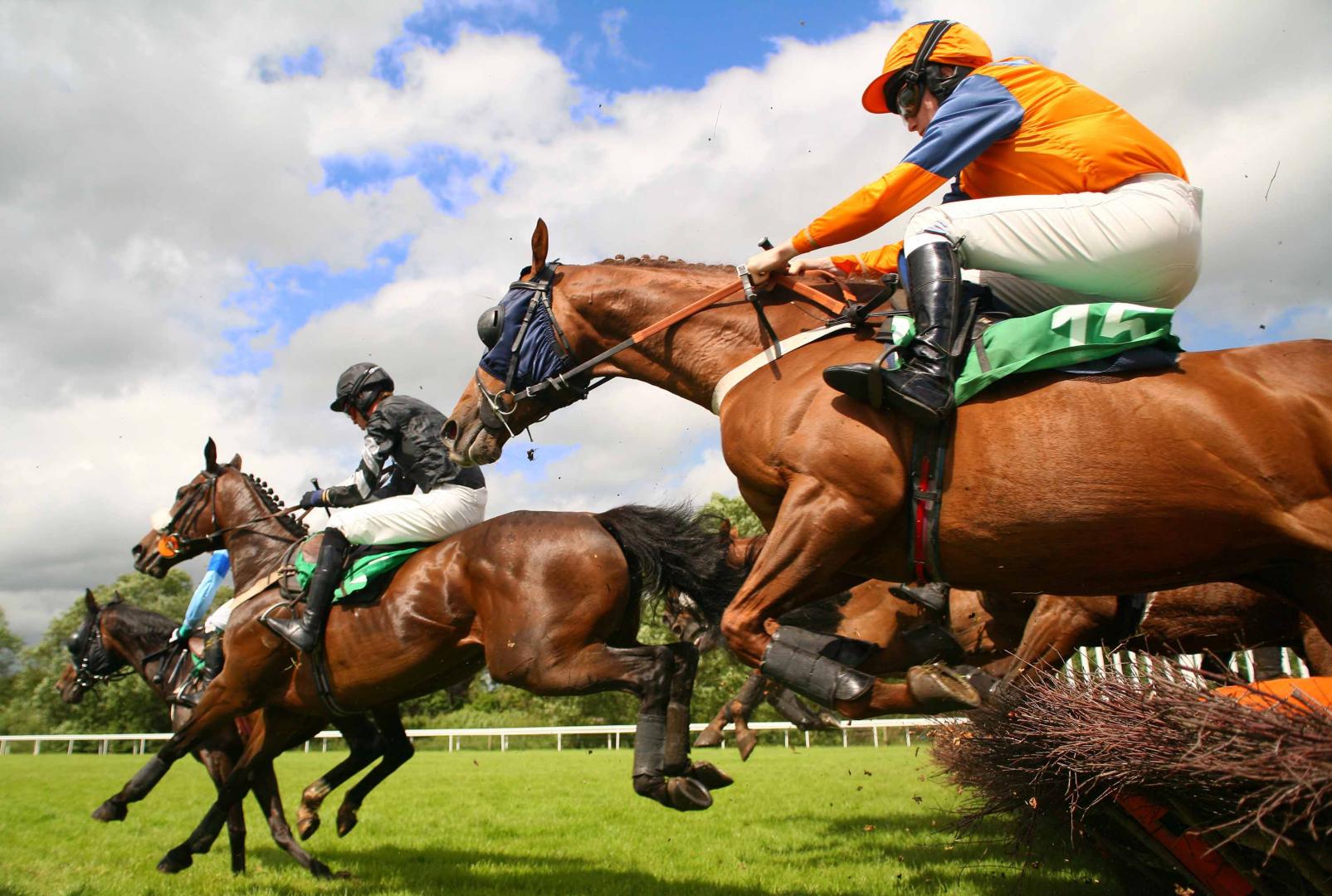 All you need to know about the online horse betting odds system ...